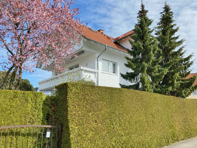 Eigentumswohnung in Leipzig - Sattler Immobilien